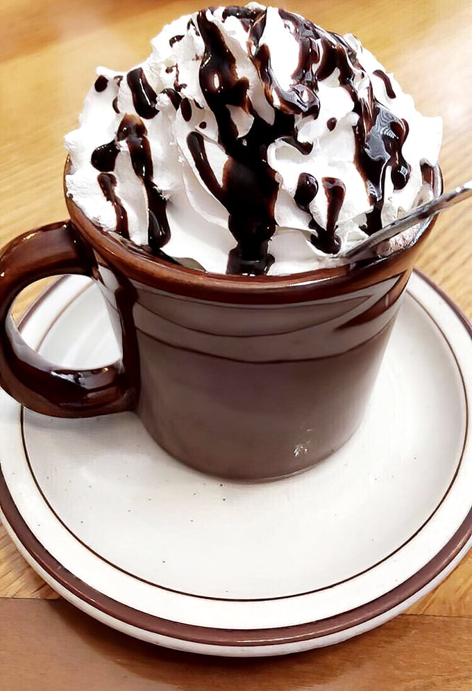 Hot chocolate that doesn't know it's not dessert, crowned with a cloud of whipped cream and chocolate drizzle. Morning indulgence at its finest.