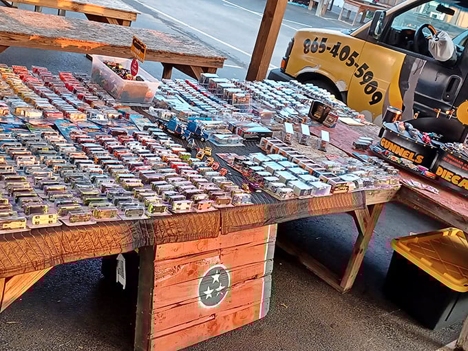 Tiny cars with enormous charm! Each miniature vehicle represents someone's dream ride or childhood memory, meticulously preserved in pocket-sized perfection.