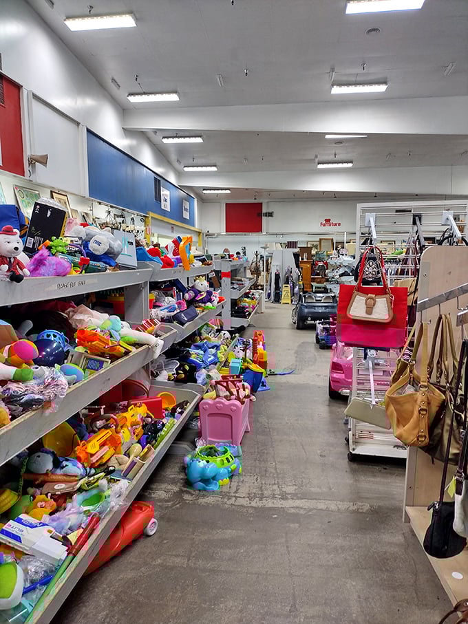 Toy paradise meets nostalgia factory—where childhood dreams get a second chance and parents' wallets get a much-needed break.