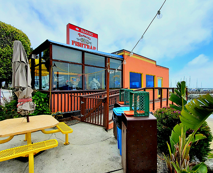 Andria's humble storefront sits where Ventura's fishing boats deliver tomorrow's menu directly to diners.