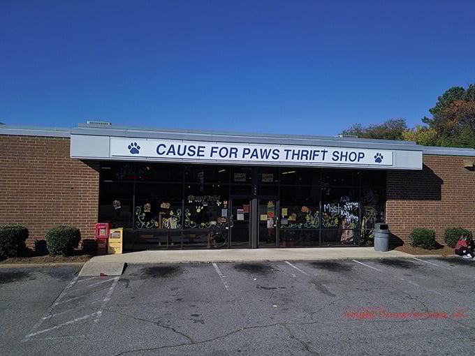 The Cause for Paws storefront makes it clear that every purchase here helps homeless animals find their forever families.