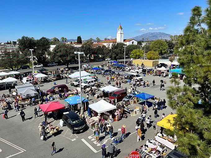 PCC Flea Market: where college parking lots transform into galleries of yesterday's most beautiful objects.
