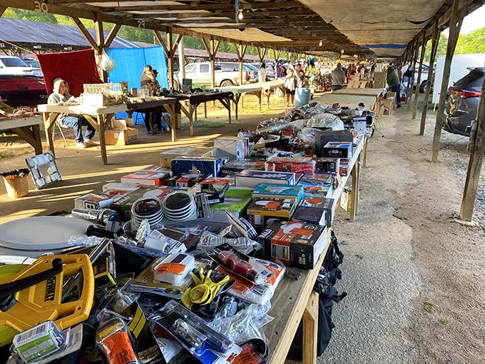 The Pickens County Flea Market proves the best shopping experiences don't need fancy buildings—just great stuff and honest prices.