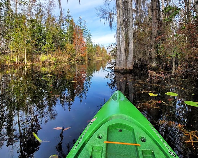 The Okefenokee's cypress-lined waterways are like nature's Venice – minus the tourists and plus a few alligators.