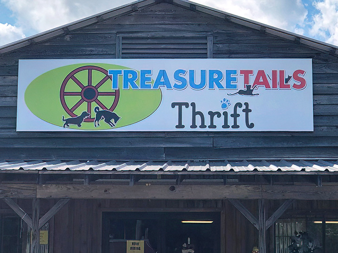 Treasure Tails' playful sign featuring pets and a wagon wheel perfectly captures the spirit of this charity shop—quirky finds that help furry friends.
