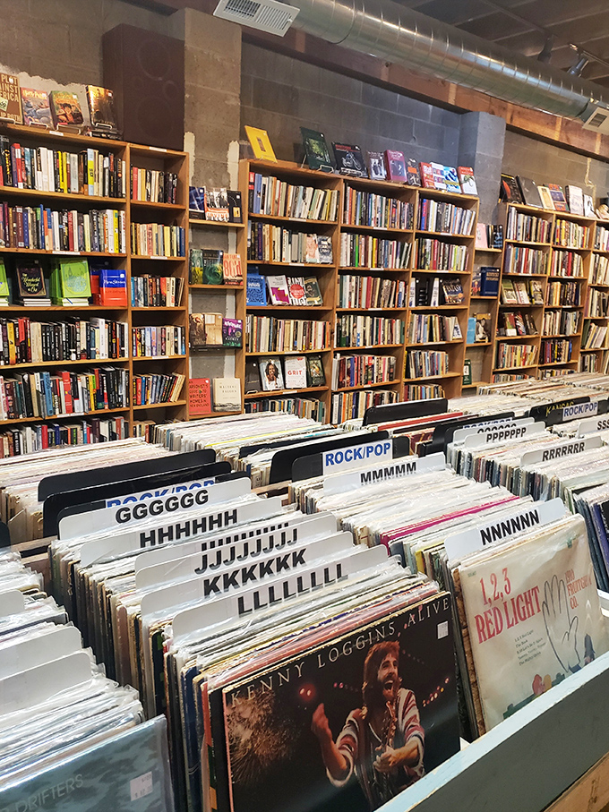 Vinyl heaven awaits music lovers—alphabetized albums spanning decades, just waiting for their needle-drop moment in your living room.