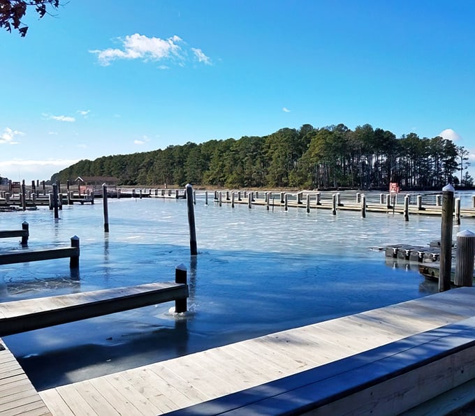 Walking on water! Janes Island's wooden boardwalk stretches toward adventure with every plank – even the dog knows it.