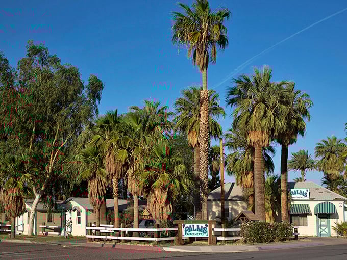 Desert palms frame affordable homes in Needles, where California living comes with desert-low price tags and river views.