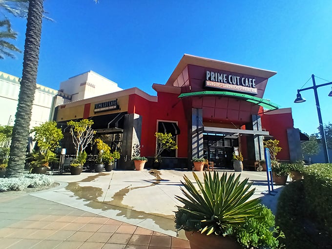 Sunlight bathes Prime Cut's contemporary facade – inside awaits hand-cut steaks that would make a vegetarian nervous.