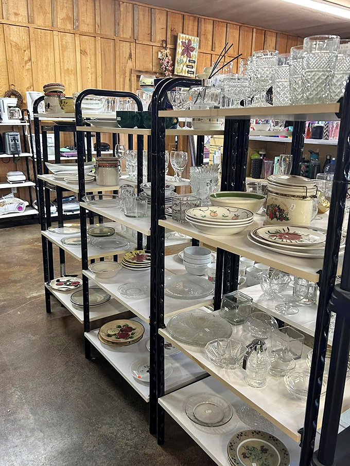 Those gleaming glasses and vintage dishes at Treasure Tails aren't just kitchenware—they're conversation pieces waiting for their next dinner party.
