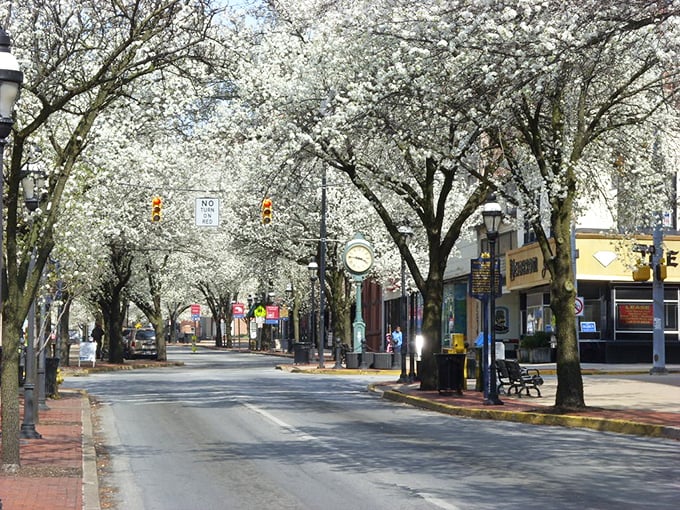 The White Rose City shows off its colonial charm year-round – brick buildings and blue skies creating a timeless Pennsylvania scene.