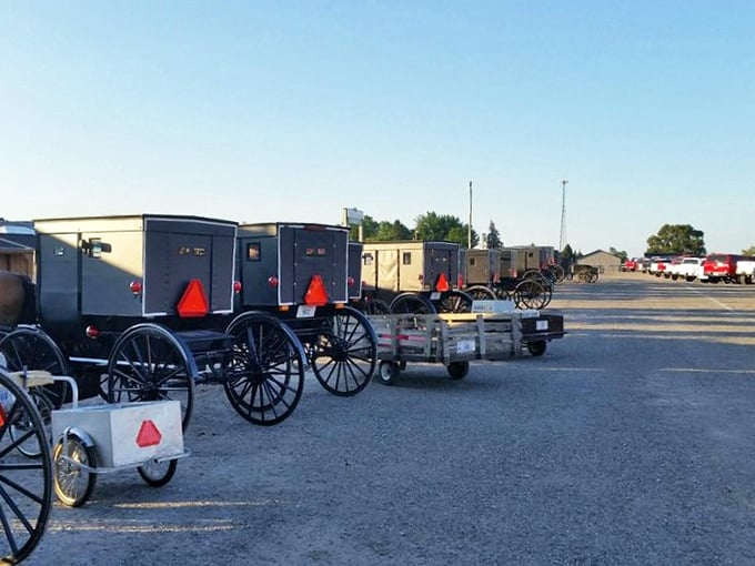 Amish buggies lined up like time travelers at a convention—a reminder that in Shipshewana, traditional ways of life harmoniously coexist with modern commerce