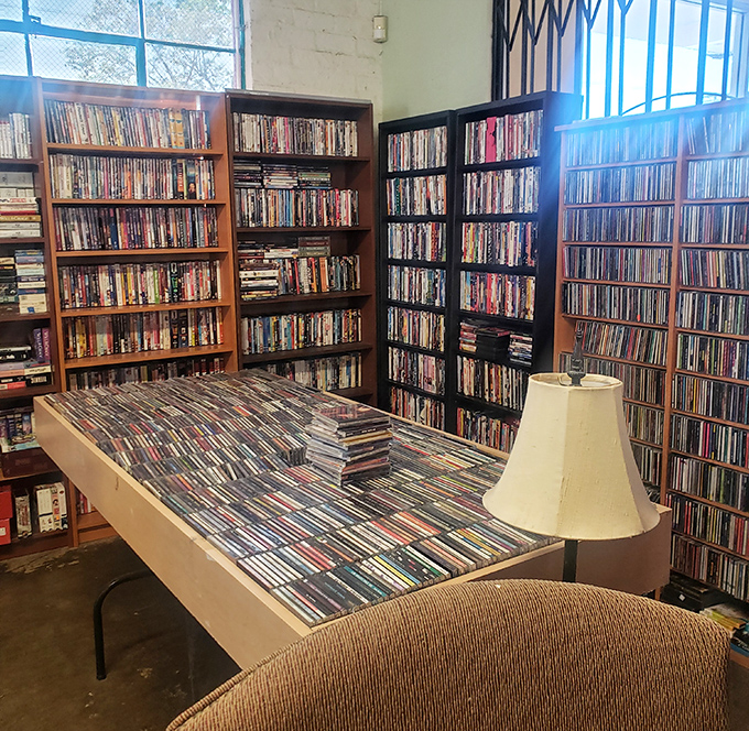 A media lover's dream – shelves upon shelves of DVDs and CDs waiting to be rediscovered in an age of streaming.