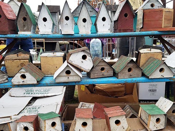 Birdhouses in every imaginable color scheme—because even Connecticut's finches deserve real estate with curb appeal.