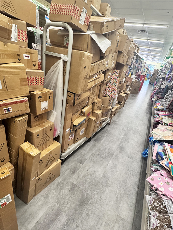 Behind the scenes, a fortress of cardboard reveals the constant restocking required to keep bargain hunters satisfied—retail's version of backstage at a rock concert.