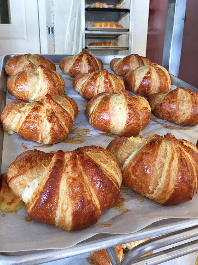These croissants have the kind of golden tan that Floridians spend hours at the beach trying to achieve, their flaky layers promising butter-rich satisfaction with every bite.
