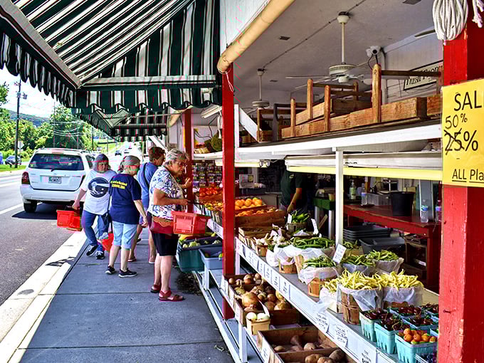 The Cronise Market Place offers farm-fresh bounty that makes grocery store produce look like it's been through witness protection – stripped of all identity.