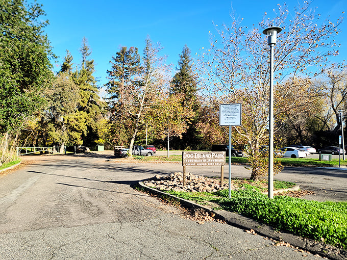 At Dog Island Park, nature provides the entertainment—no subscription required, no commercials, just pure California serenity.