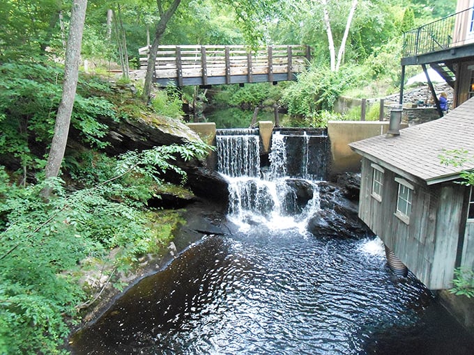 This waterfall doesn't just flow – it provides the soundtrack to Chester's quieter moments, a natural symphony just steps from downtown.