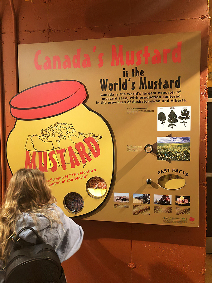 Canada's claim to mustard fame is celebrated with educational displays that turn agricultural trivia into fascinating food knowledge.