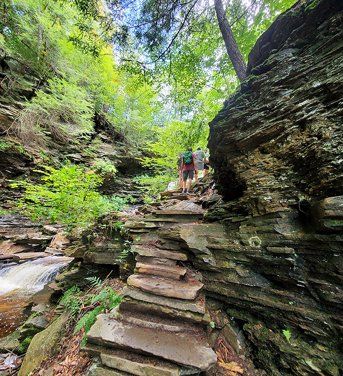 The Falls Trail's stone steps, sculpted by both nature and human hands, lead hikers through geological layers like a time machine through Earth's history.