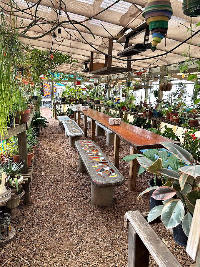 The garden dining area feels like eating in your eccentric aunt's greenhouse – if your aunt was a botanical genius with amazing taste in pizza.