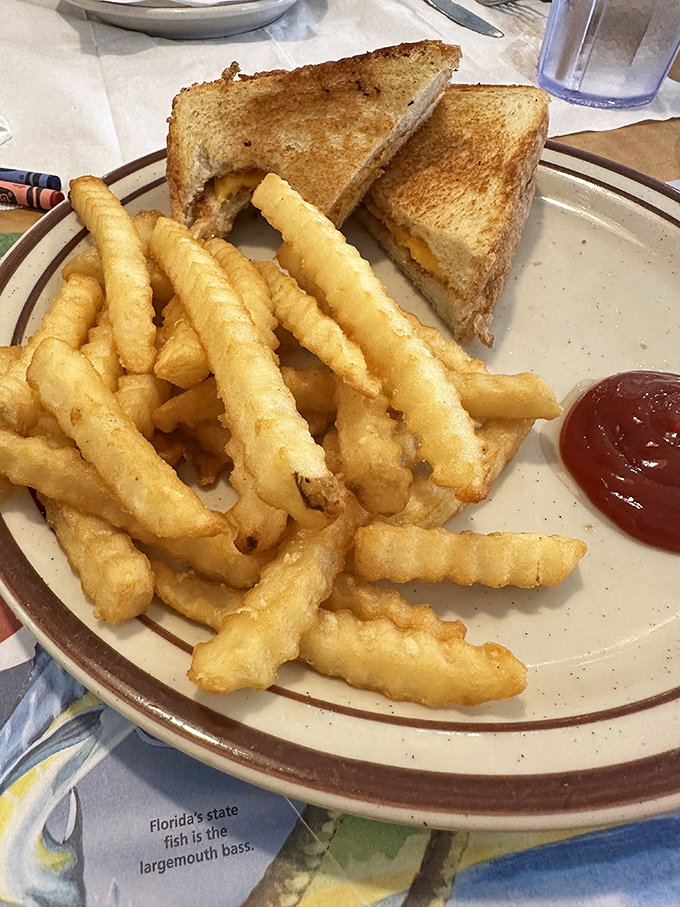 The humble grilled cheese – crispy, golden, and melty in all the right ways. Those crinkle-cut fries aren't just sides, they're essential supporting characters in this lunch drama.