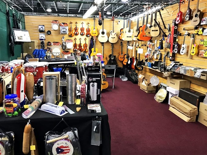 The guitar wall—where musical dreams hang in suspended animation, waiting for the right pair of hands to bring them back to life.