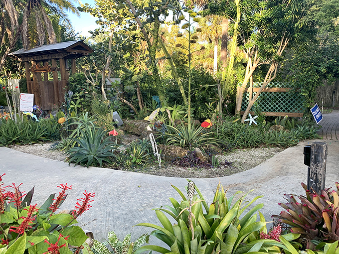 Gardens that tell Florida's botanical story without shouting it. These thoughtfully arranged native plants create peaceful corners for contemplation.
