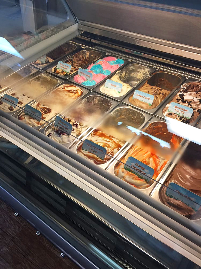 This ice cream case doesn't just offer flavors—it offers life choices. Each colorful scoop a different path to brain freeze nirvana.