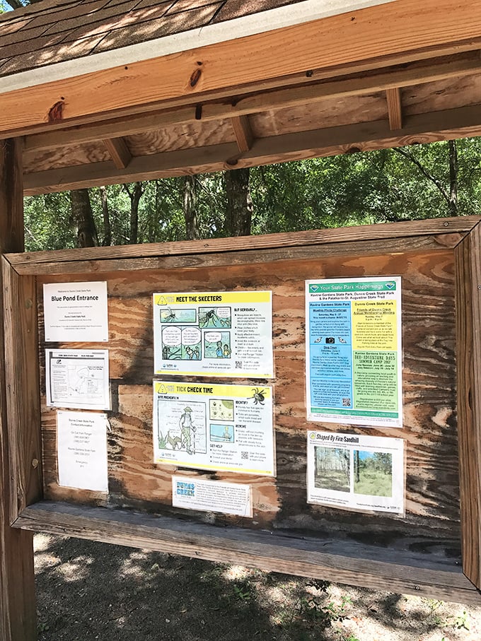 Nature's instruction manual awaits curious minds. These information boards are like the Cliff Notes for your wilderness adventure.