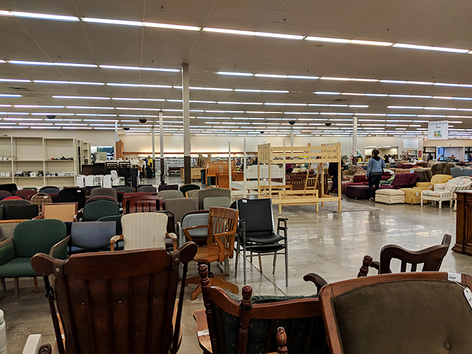 Chairs of every style congregate like attendees at a furniture convention, each with its own personality and story to tell.