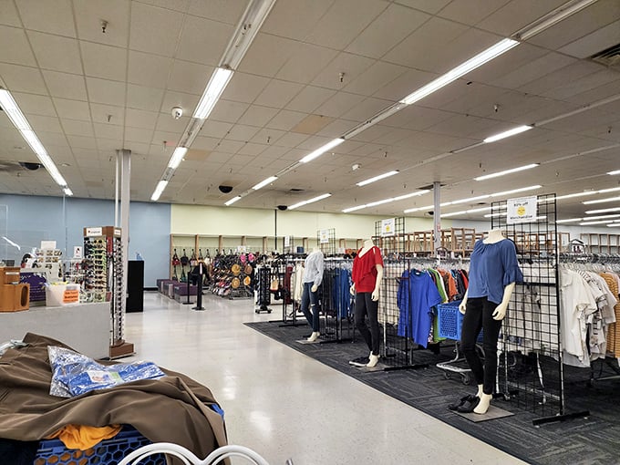 Mannequins modeling their finest finds while fluorescent lights showcase the vastness of retail possibility. Even they look excited about these deals.