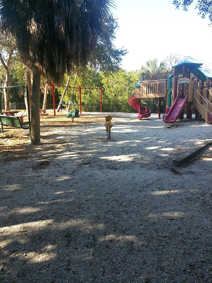 Childhood joy meets tropical paradise. Durante Park's playground offers the perfect spot for little ones to burn energy while parents catch their breath.