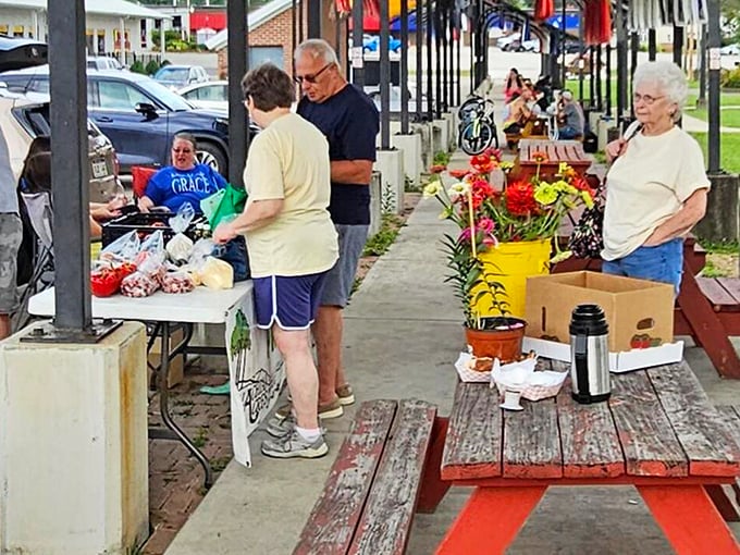 The farmers market—where conversations last longer than the shopping. These folks aren't just selling produce; they're maintaining a community tradition.