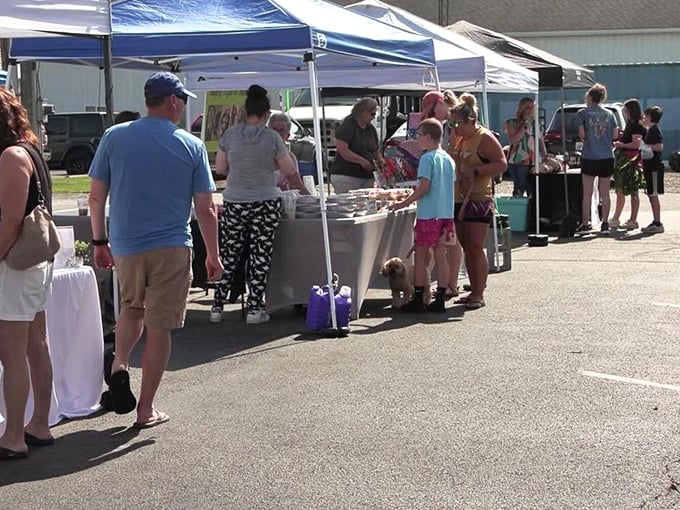 At Wapakoneta's farmers market, locals gather for fresh produce and even fresher gossip—the true farm-to-table-to-conversation experience.