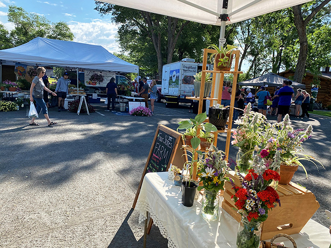 Farmers markets in Elko connect residents directly to local growers. Fresh flowers and produce without the big city markup – retirement dollars stretch further here.