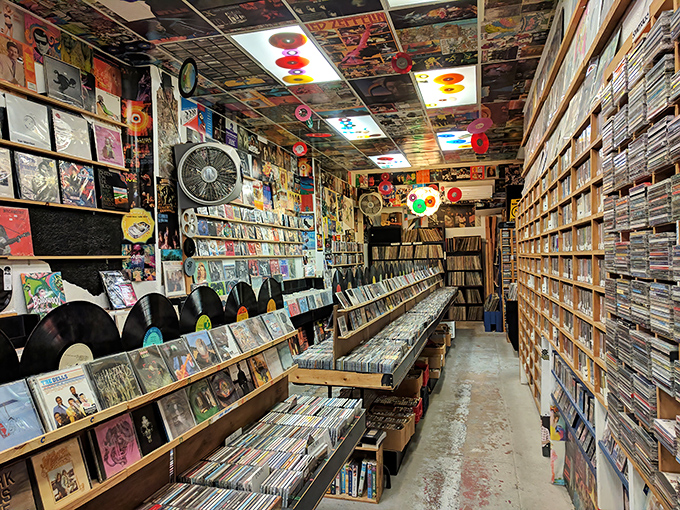 Wait, this isn't Hodad's – it's a record store! Just kidding, this appears to be a nearby Ocean Beach shop that shares the neighborhood's eclectic, collector-friendly vibe.