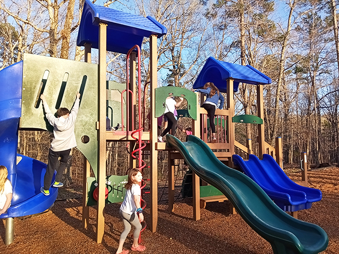 Childhood joy doesn't need a software update. This playground proves that slides and climbing structures still generate more genuine smiles than any tablet ever could.