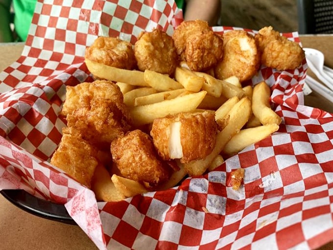 Golden-fried scallops nestled among crispy fries—a basket of oceanic treasures that makes you wonder why you ever eat anything else.