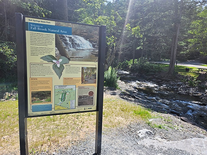 Nature's version of a museum plaque – telling you what you're looking at while you're too busy being mesmerized to read it.