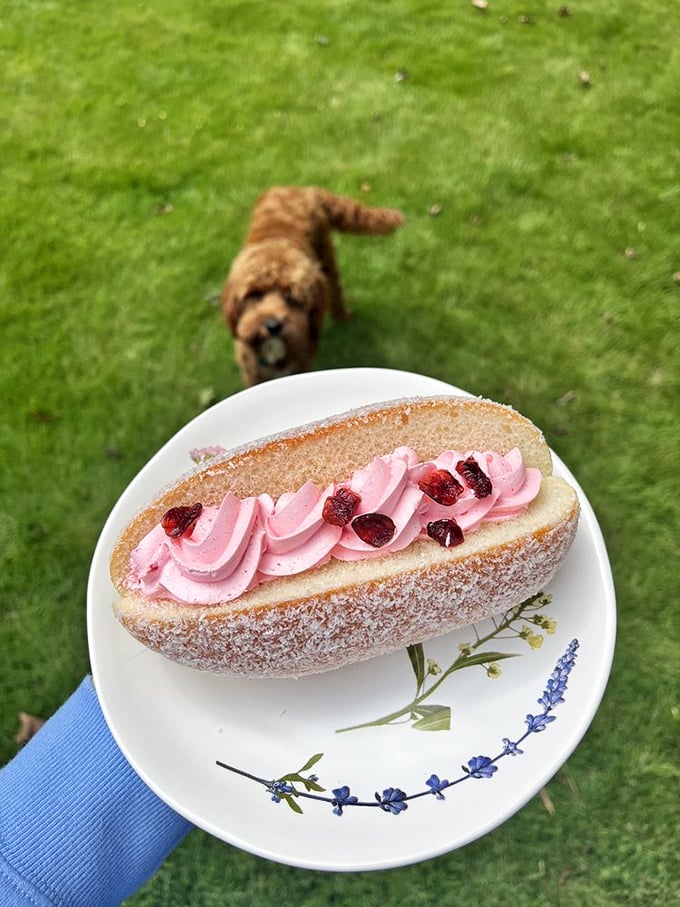 Pink cream and a sugary bun lounging on fine china—with a furry photobomber who clearly knows good pastry when he smells it.