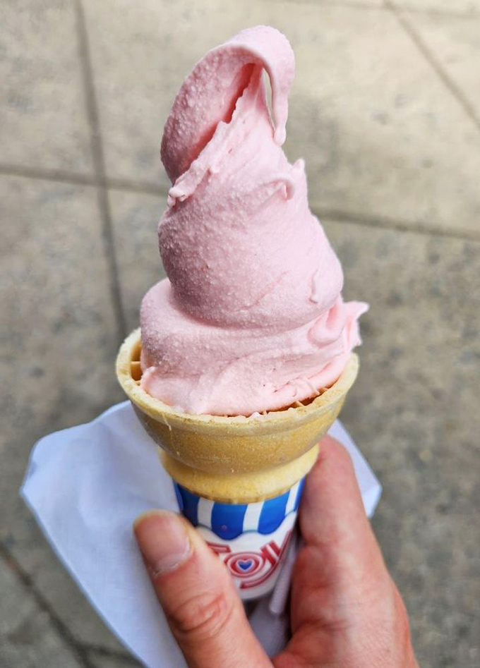 That pink peak of strawberry custard isn't just a cone—it's a monument to simplicity. Sometimes the classics need no improvement.
