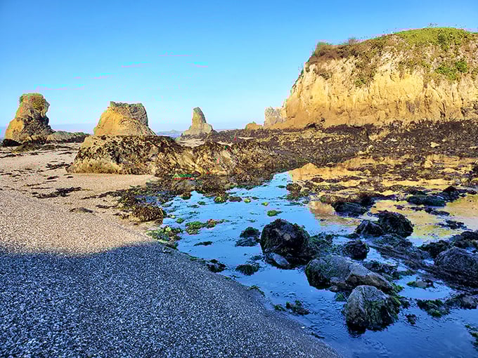 These coastal formations look like Mother Nature's attempt at sculpture after taking an abstract art class – beautifully bizarre and utterly captivating.