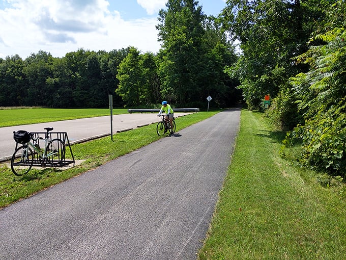Biking trails that don't require oxygen tanks or emergency services—just peaceful pedaling through Ohio's surprisingly varied landscape.
