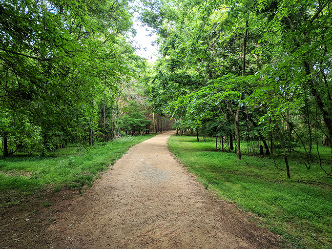 Hillsborough's trails invite you to wander through green tunnels of trees, where the only deadline is sunset and cell service is blissfully spotty.