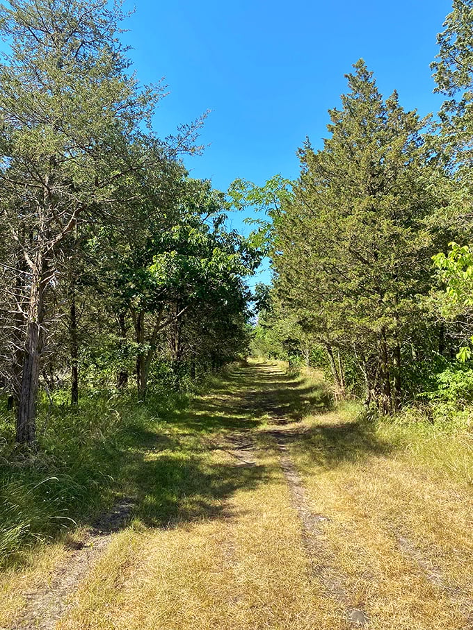 Trails that whisper secrets of the island. Follow this path and temporarily forget you have a phone, deadlines, or responsibilities.