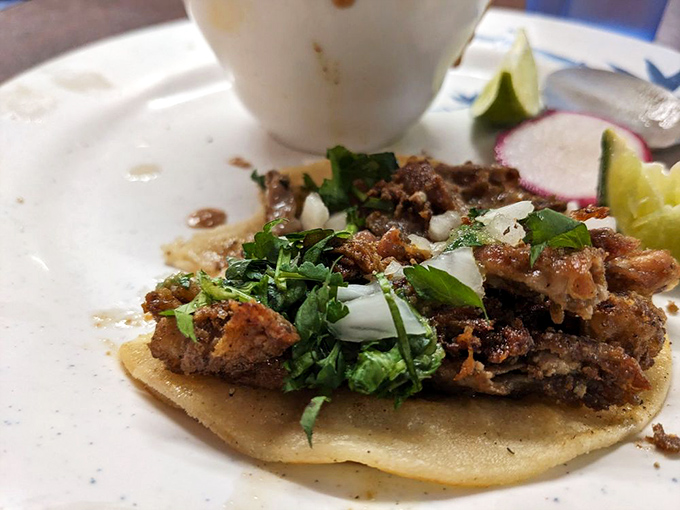 This taco isn't just food—it's a masterclass in simplicity. Fresh cilantro, diced onions, and perfectly seasoned meat on a handmade tortilla. Poetry on a plate.