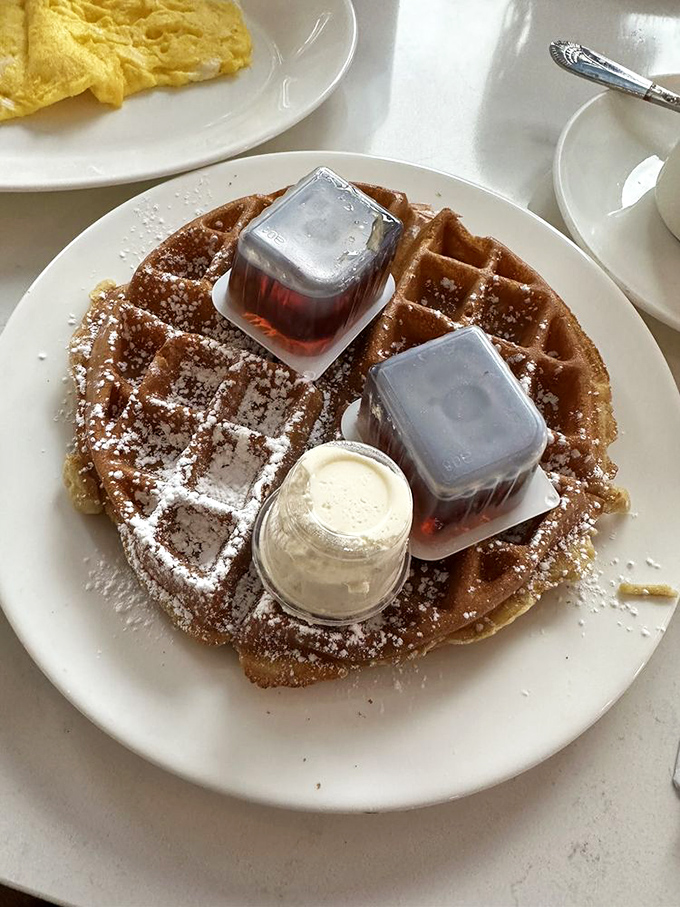 A waffle that's achieved the perfect balance of crisp exterior and fluffy interior, with powdered sugar snow and syrup ready for action.