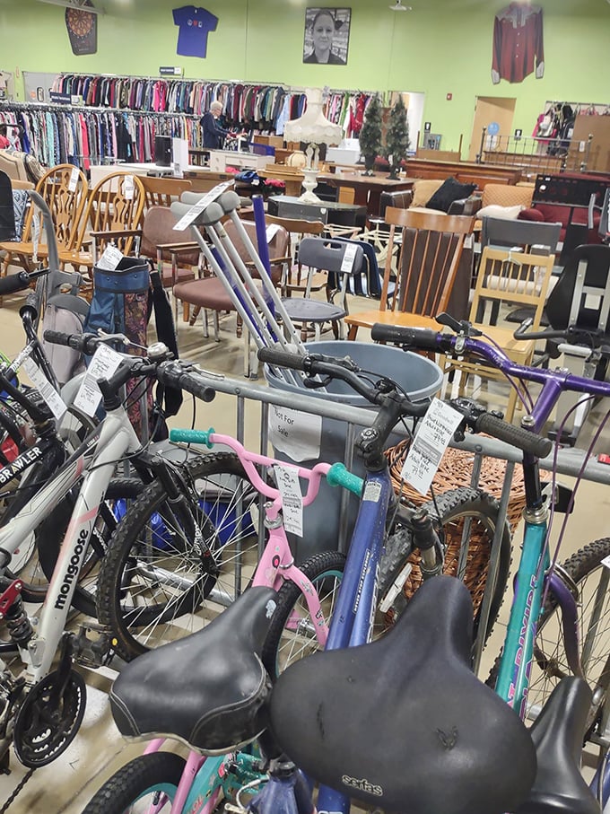 Bicycles and chairs—the transportation and seating departments collide in a jumble of potential adventures and family dinners.